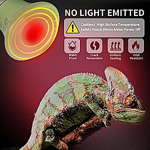 100W Mini Reptile Heat Lamp Bulb 4 Pack, Pet Infrared Ceramic Heat Emitter for Amphibian, Brooder Coop, Aquarium, Lizard, Lambs, Snake, No Light, Green