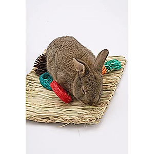 PStarDMoon Bunny Grass Mat with Small Animal Chew Toys Woven Bed Mat for Small Animals Rabbit Bedding Nest Chew Toy Bed Play Toy for Rabbits Chinchilla Hamsters Guinea Pigs Gerbils Groundhog…