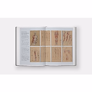 Basic Human Anatomy: An Essential Visual Guide for Artists