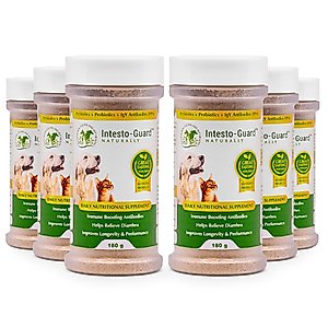 INTESTO-GUARD Probiotic Pet Supplement Prebiotic & Probiotics for Dogs & Cats Bowel, Digestive & Immune Support Supports Gut Flora, Nutrition - 180G Powder, 90 Day Supply (6 Pack) - All-Natural