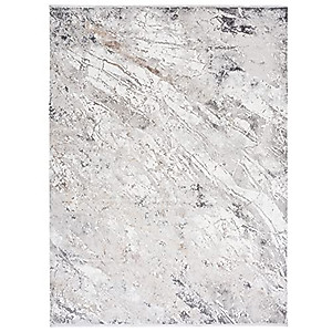 SAFAVIEH Signature Collection 10' x 14' Grey/Gold SIG495F Viscose Living Room Dining Bedroom Area Rug