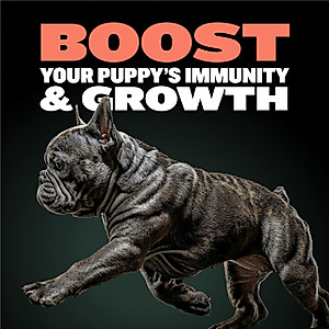 Bully Max 2-in-1 Puppy Soft Chews for Immunity & Growth - Puppy Treats, Supplements & Vitamins for Health & Immune Support - Essential Dog Multivitamin for All Breeds, Small & Large Breed Puppies