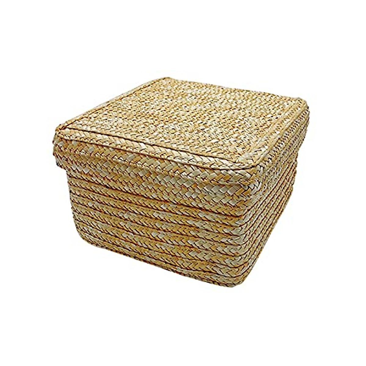 Zhuxin Woven Straw Storage Baskets with Lid, Rattan Snack Container Multipurpose Bins Laundry Toys Organizer Household