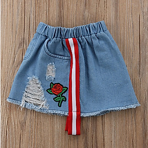 Toddler Baby Girls Smell The Rose T shirtTops + Denim Skirts Clothing Outfit Set (2-3Years, White)