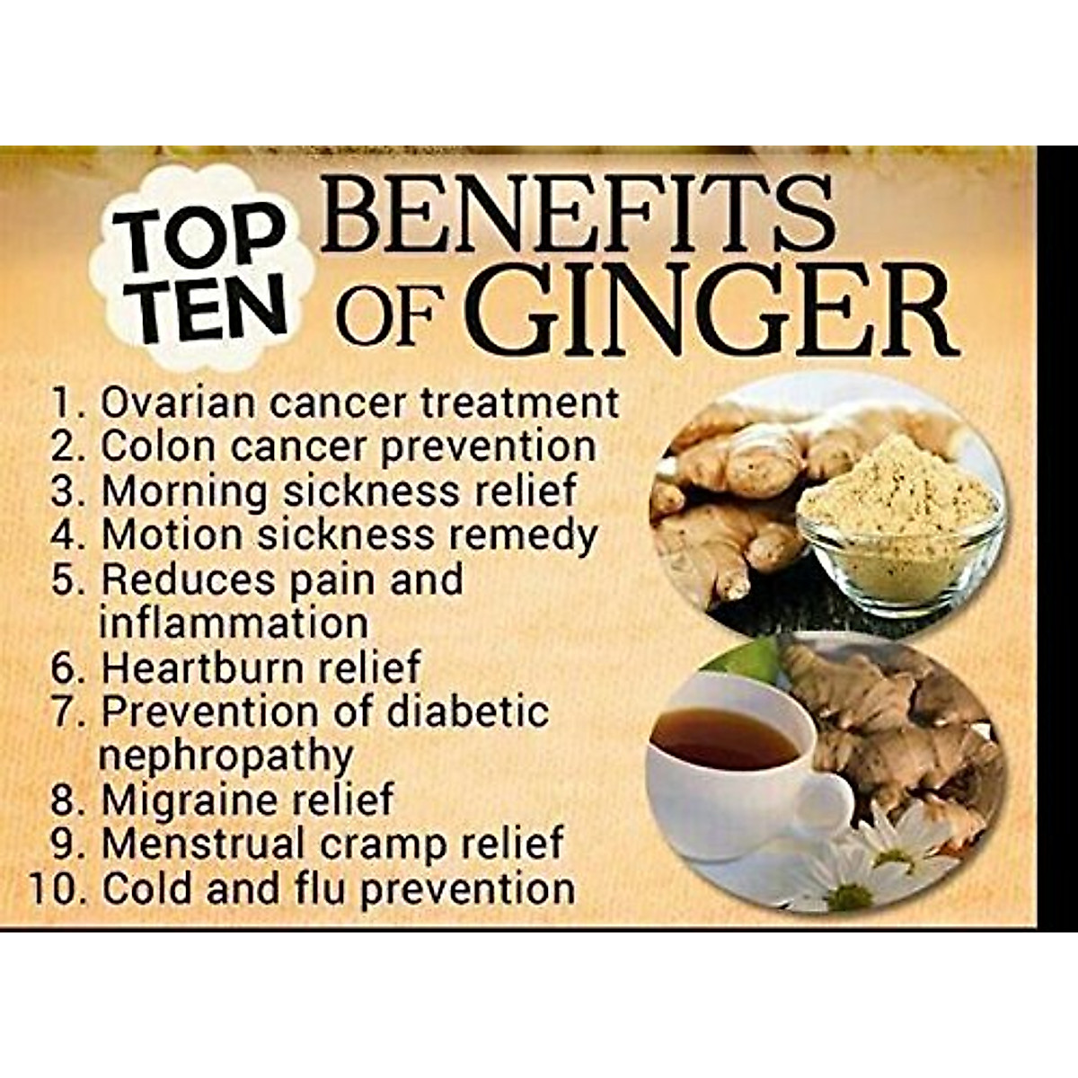 JAMAICAN GINGER - Zingiber officinale-Grow Your own,Grow Indoors or Outdoors(1 Pound)