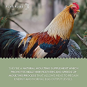 FLYGRUBS Superior to Dried Mealworms for Chickens (5lb) - 85X More Calcium Than Live mealworms - Non-GMO Chicken Feed - BSFL Treats for Hens, Ducks, Turkeys, Wild Birds, Turtles, Quails