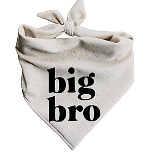 Big Bro Dog Bandana Pregnancy Announcement Baby Announcement to Grandparents (X-Large)