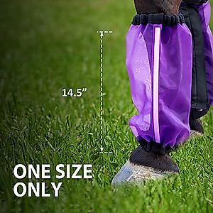 CareMaster Universal Size Horse Leggings Fine Mesh Horse Fly Boots Greatly Reduce Stomping Breathable Horse Boots Leg Wraps (Set of 4) Purple