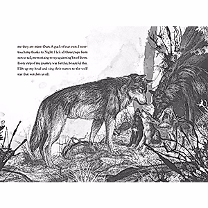 A Wolf Called Wander (A Voice of the Wilderness Novel)