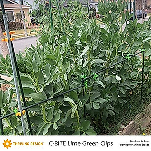 C-BITE Garden Clips Customizable, Reusable, and Strong Connections to Metal or Bamboo Stakes. Create Custom Support Solutions Clips Build Sturdy Tomato Cages, Climbing Vine Trellis (Lime)