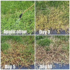 Quinclorac 1.5 L -(1/2 gal.) Compare to Drive XLR8- Kills Crabgrass