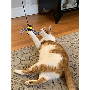 Get Buzzed Refillable Bee