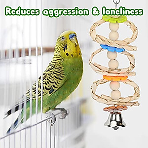 BWOGUE 7 Packs Bird Parrot Toys Natural Wood Chewing Toy Bird Cage Toys Hanging Swing Hammock Climbing Ladders Toys for Small Parakeets, Cockatiels, Conures, Finches,Budgie, Parrots, Love Birds