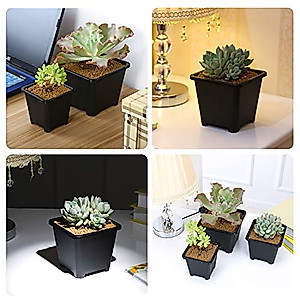 GOETOR Pastic Nursery Pots Square Plant Pot 100 Pcs Durable Balck Starter Container for Starting Seedlings or Succulents (2.2 Inch)