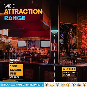 Gardner WS-95 Wall Sconce Fly Light Trap Lamp – Powerful Shatterproof UV Light - Hides Captured Flies, Mosquitoes, Other Insects – Kitchens, Restaurants, and Other Work Spaces (Stainless Steel)