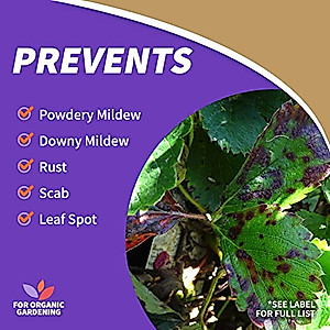 Bonide Captain Jack's Neem Max, 8 oz Concentrated Cold Pressed Neem Oil, Multi-Purpose Insecticide, Fungicide, Miticide and Nematicide for Organic Gardening