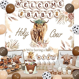 JOYMEMO Brown Highland Cow Baby Shower Decorations for Boy, Holy Cow We are Having a Baby Backdrop Decor with Welcome Baby Print Banner Cake Topper, Farm Highland Cattle Baby Shower Party Supplies