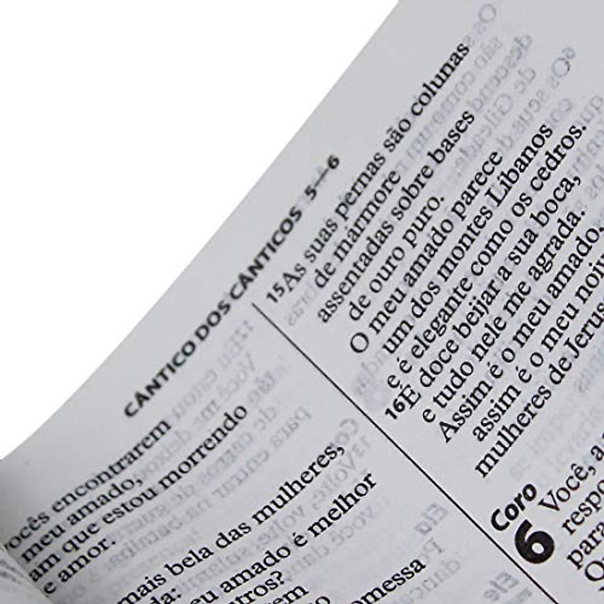 Bíblia Sagrada Letra Grande - Preta - SBB