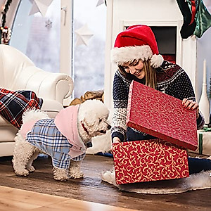 Dog Coat Plaid Dog Cold Weather Jacket with Hood, Extra Warm Fleece Lining Dog Hoodies Sweater Outfit for Puppy Small Medium Large Dogs,Dog Winter Clothes Vest Pullover Apparel Hooded Shirts