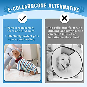 Puptoceed Dog Surgery Rrecovery Suit Dog Onesies for Surgery Recovery Dog Body Suits After Surgery Dog Recovery Suit Surgery Suit for Dogs Dog Surgery Suit Dog Neuter Recovery Suit,M