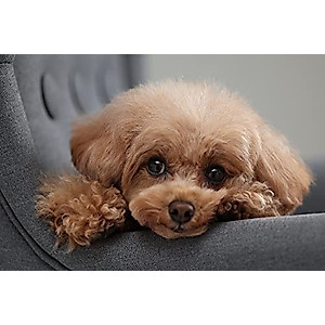 Canon EOS R10 Mirrorless Camera with RF-S 18-150mm Lens Kit