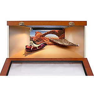 Carolina Custom Cages Reptile Habitat Background, Big Arch, 15.75" x 36"