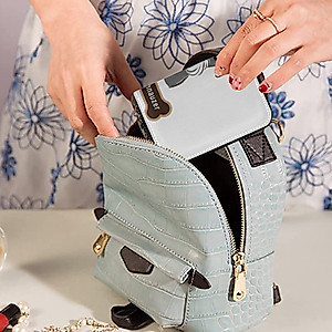 Grey Miniature Schnauzer Dog Bone Isolated on WhiteGrey Credit Card Coin wallet, RFID Blocking Compact Women Leather Card Holder, Key Change Organizer, Zipper Purse Clutch Pouch Pocket