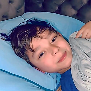 Avolare Cooling Pillow Cases, 2 Pack Arc-Chill Q-max>0.5 Cool Pillowcases for Hair Skin and Hot Sleepers, Soft Silky 20" x 30" Summer Pillow Cover with Zipper fit Standard & Queen Size Pillows - Blue