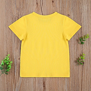 Toddler Baby Girls Boys Cartoons Cotton Basic T Shirts Tops Shorts Sleeve Tee Shirt Baby Summer Clothes (A Solid Yellow, 4-5T)