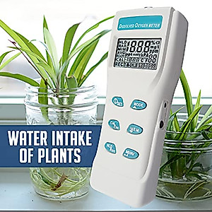 Gain Express Dissolved Oxygen Meter with Electrode Portable DO Meter Water Quality Tester with Large LCD Display ATC 99 Memory Function