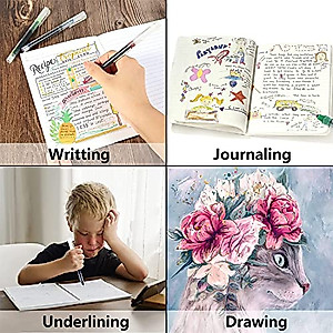 Jinja Brands Liquid Ink Rolling Ball Stick Pens, Extra Fine Point (0.5mm) Rollerball Pens, Fine Tip 12-Pack Multi-color Quick Drying Ink Pen for Coloring Writing Office Home Supplies