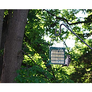 Hot Pepper Suet Value Pack 4 Hot Pepper Suet Cakes for Wild Birds 11 Ounces Each