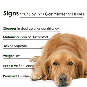 Proflora Probiotics for Dogs-Complete Gut Health & Immune Support. Easy to Use Digestive Multi-Strain Probiotics. Easier Diet Transitions, Healthier Skin & Coat & Helps Treat Diarrhea. 30 Packets.