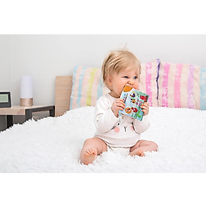 Touch and Feel Cloth Crinkle Books for Babies Infant, Baby Books Toys 0-3-6-12-18 Months, Christmas Shower Baby Gift, High Contrast Toys,Teething Teether,Tummy Time Mirror Toy for Boys and Girls-Farm