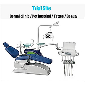 15W Induction Light Dental LED lamp AC/DC 12-24V Dental Oral Lamp for Dental Chair Unit, Pet Surgery Lamp（22mm Connector）