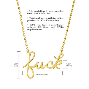 Columbus 14K Gold Plated Motivational Word Pendant Necklace - Meaningful Script Letter Chain Necklace - Simple Everyday Jewelry for Women (Fuck)