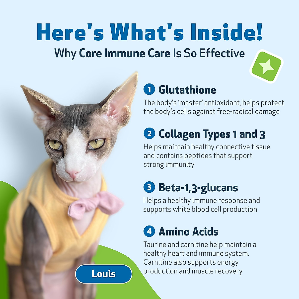 Pet Wellbeing Core Immune Care for Dogs & Cats - Daily Antioxidant Support for Pets of All Ages - Vet-Formulated - 3.7 oz (105 g) Powder