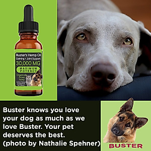 Enhance Me Organic Hemp Oil for Dogs & Cats, (3-Pack) Max Potency - Made in USA - Omega Rich 3, 6 & 9 - Supports Hip & Joint Health, Natural Relief