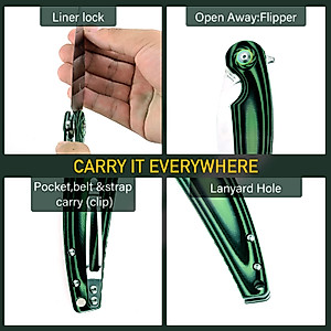 SHIELDON Bulbasaur Folding Pocket Knife, 3.66-inch Sandvik 14C28N Mirror Polish Blade and G10 Handle, Liner Lock Knife for EDC