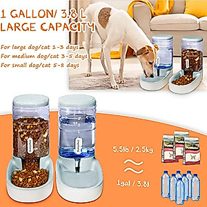 Pets Gravity Food and Water Dispenser Set,Small & Big Dogs and Cats Automatic Food and Water Feeder Set,Double Bowl Design for Small and Big Pets (Gray)