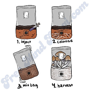 Mushroom Grow Bag for Manure Loving Mushrooms. 'All in one' Style Mushroom Grow kit. Over 3lbs of Substrate. Grow Over 2lbs Fresh, and 2-3oz Dry Like Magic.