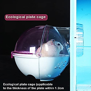 Qoyntuer Small Animals Sand Bathroom Cage Toilet Bathtub,Hamster External Toilet Bathroom Sand Bathing Box Removable Toilet Bathtub Sand Bath Container Pet Toy Acrylic Hamster Bathroom Cage (Blue)