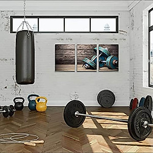 Modular Dumbbells Painting Modern Home Decor Poster 3 Pieces HD Printed Fitness Bodybuilding Gym Canvas Wall Art Wooden Art