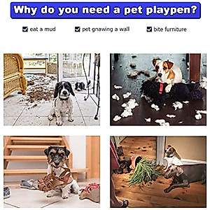 BestPet Large Dog Crate Dog Cage Dog Kennel Metal Wire Double-Door Folding Pet Animal Pet Cage with Plastic Tray and Handle,24 inches