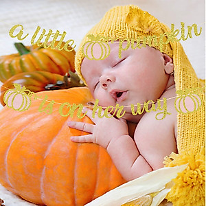 A Little Pumpkin is On Her Way Baby Shower Banner Fall Baby Shower Decorations Little Pumpkin Baby Shower Decorations Pink Pumpkin Decorations for Girl