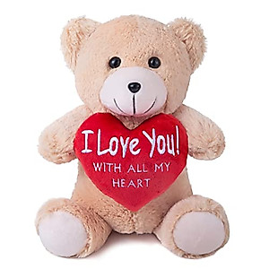 GSUIVER 10" Valentine's Day Valentines Gift for Children Kids, Girlfriend, Boyfriend, Plush Stuffed Animal (I Love You with All My Heart)