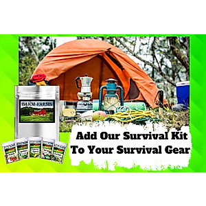30 Vegetable & Fruit Seeds for Planting Your Outdoor & Indoor Home Seed Garden, Survival Gear Kit Includes 7600 Seeds, A Growing Guide & Mylar Package Gardening Heirloom Non-GMO Veggie Seed B&KM Farms