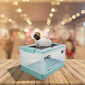 Hamster Travel Carrier Hamster Cage- Large Guinea Pig Cage Haven Habitat- Small Animal Cage for Hamster, Guinea Pig, Gerbil- Includes Exercise Wheel, Water Bottle