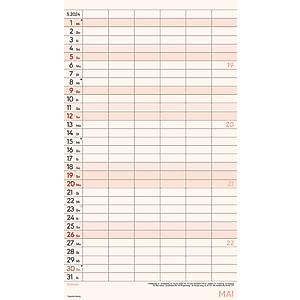 Family Planner XL 2024 with 6 Columns - Family Timer 26 x 45 cm - Offset Paper - with Holiday Dates - Wall Planner - Family Calendar - Alpha Edition