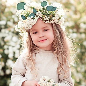 FUKUOKA Dried Eucalyptus Leaves, Real Eucalyptus Petals, Baby Shower Decor, 200+ Pcs Natural Silver Dollar Eucalyptus For Wedding Decor, Biodegradable Confetti For Wedding Reception, Tabletop Decor